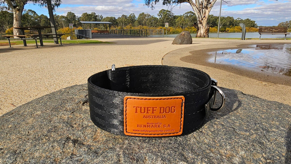 Tuff Dog 50mm Yard Collar – Tuff Dog Australia
